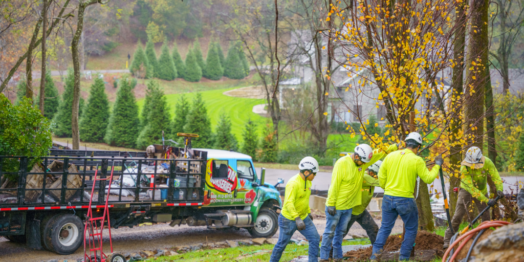 Moon Valley Nursery - Arizona Blog